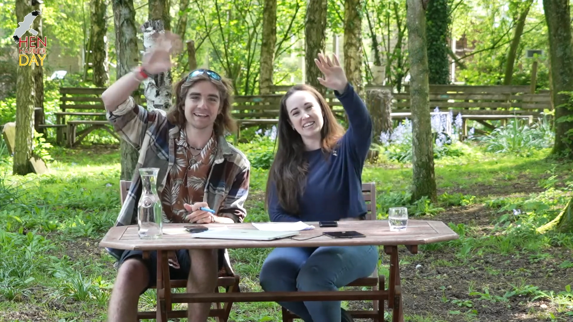 Skydancer Day | Wildlife Conservation | Hen Harrier Action