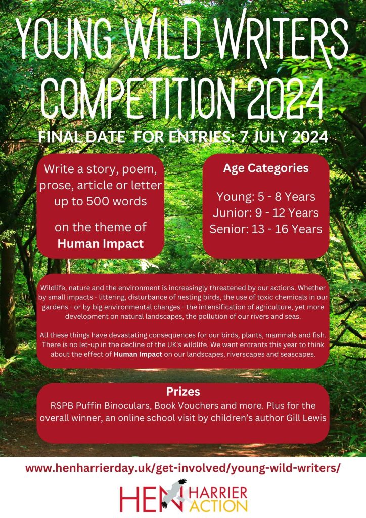 Young Wild Writers Competition | Hen Harrier Action