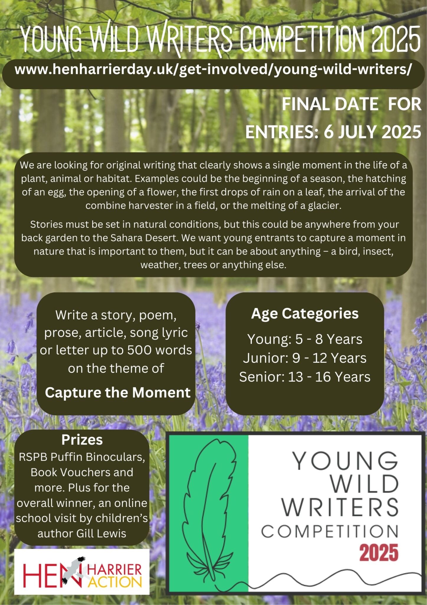 Young Wild Writers Competition | Hen Harrier Action
