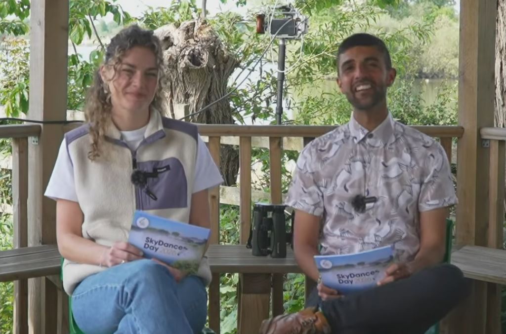 Skydancer Day 2026 - It's a Wrap | Hen Harrier Action